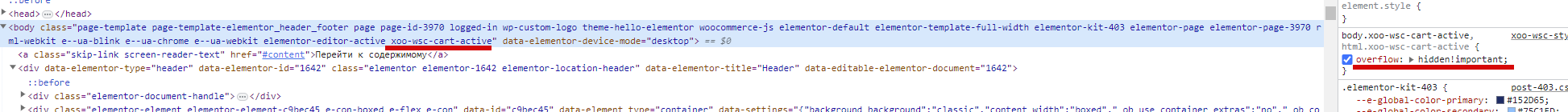 ‘overflow Y Problem When Editing Page In Elementor 7348